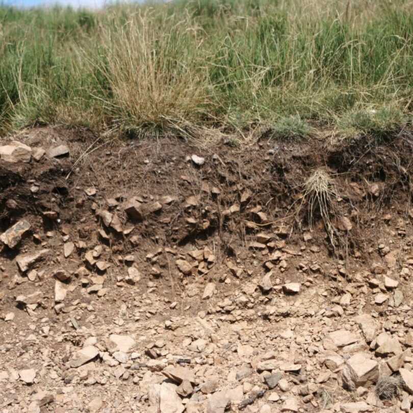 Connaître les stocks de carbone organique dans les sols - ADEME Infos