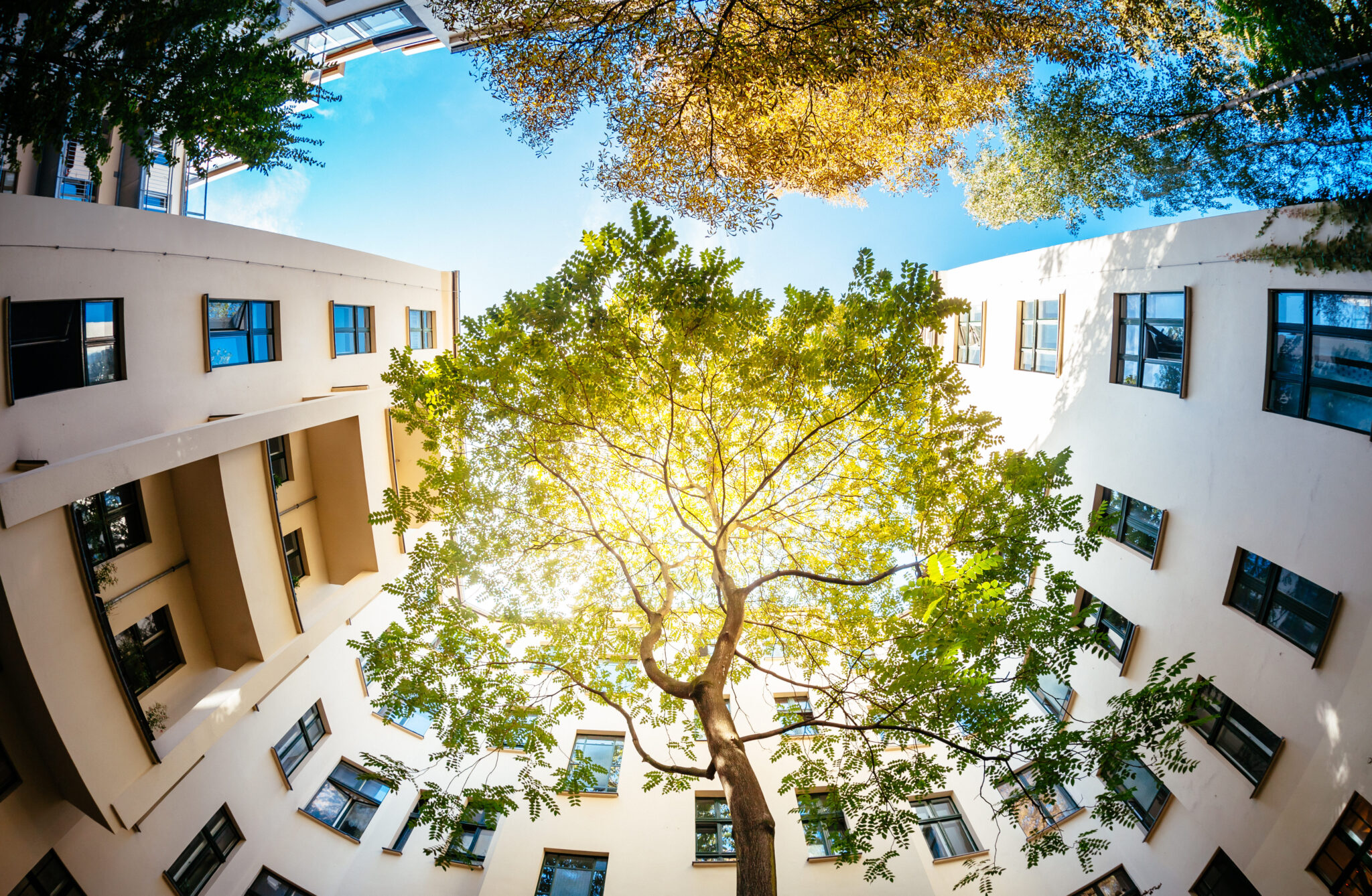 Quartiers bas carbone : mode d’emploi - ADEME Infos